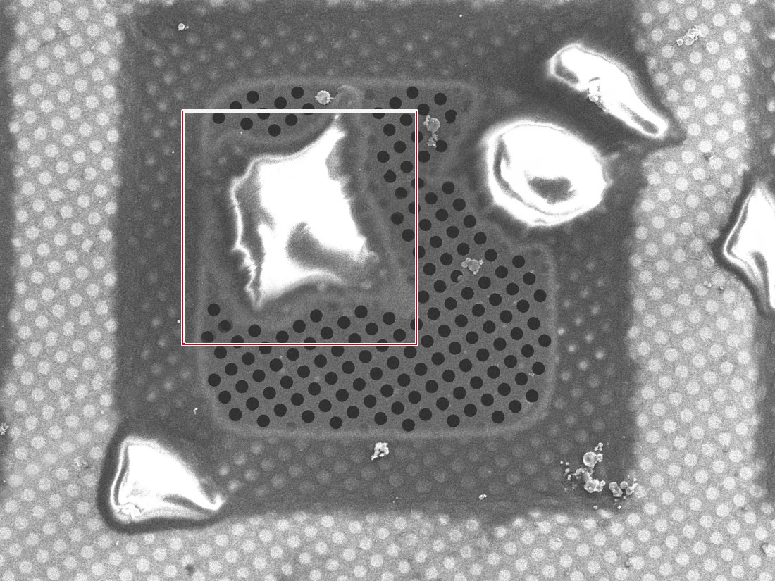 THUNDER Imager EM Cryo CLEM 冷冻光电联用成像系统 | 冷冻光学显微镜 | 产品 | 徕卡显微系统