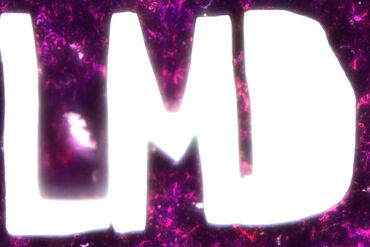 Leica LMD6 & LMD7 激光显微切割系统 - 应用 | 产品 | 徕卡显微系统