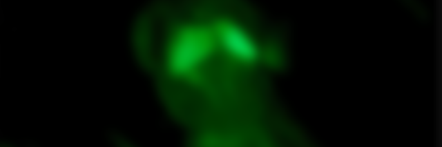 LAS X Life Science 面向生命科学应用的显微软件平台 | 产品 | 徕卡显微系统