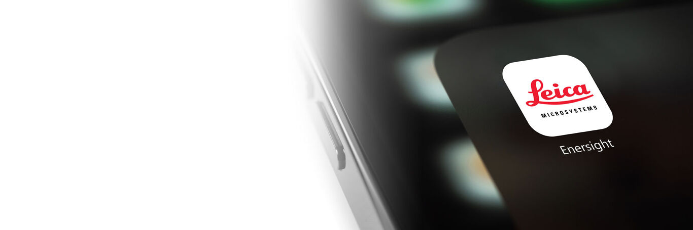 Enersight 显微镜软件平台 | 产品 | 徕卡显微系统