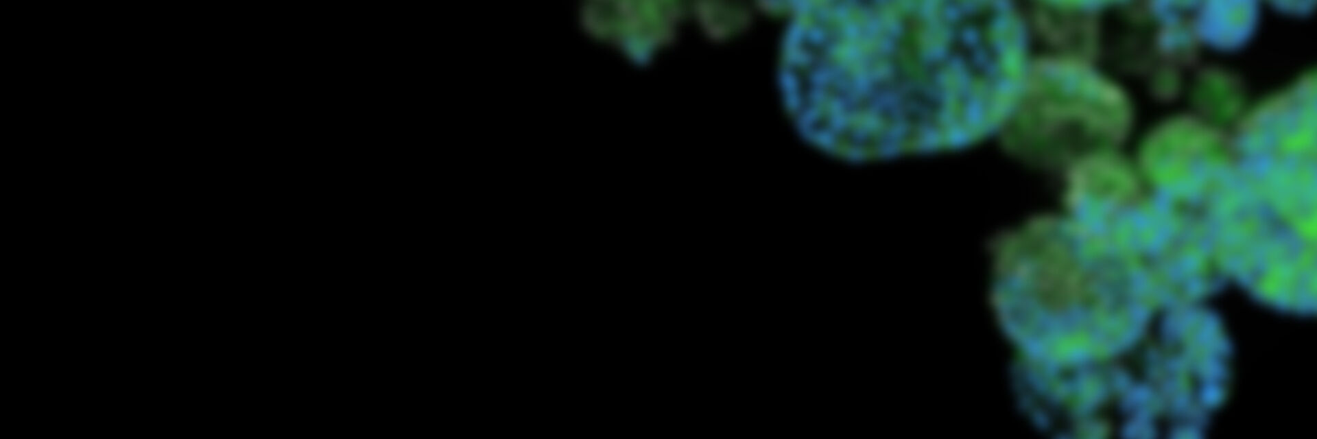 Aivia AI图像分析软件 | 产品 | 徕卡显微系统