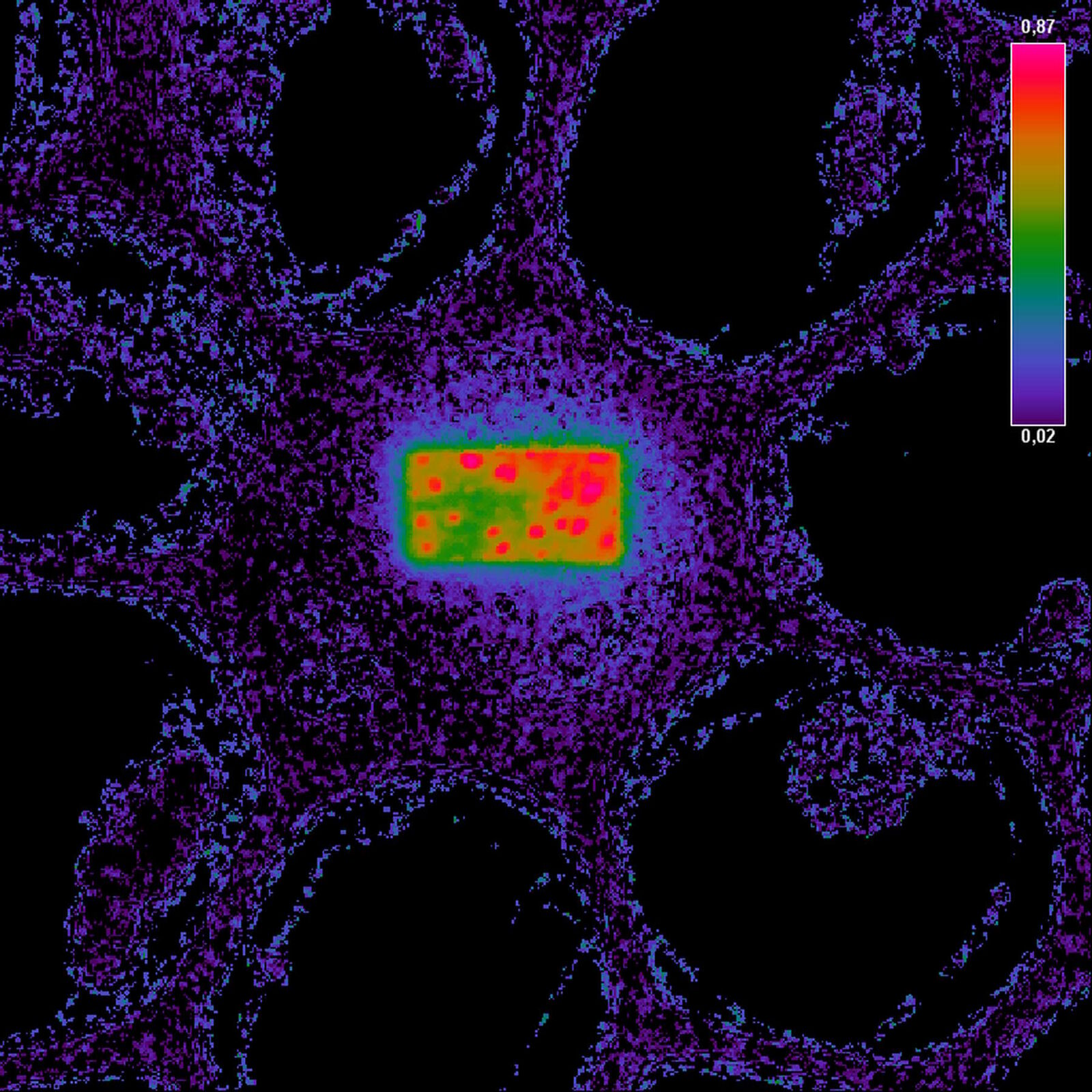 福斯特共振能量转移 (FRET) | 学习与分享 | 徕卡显微系统