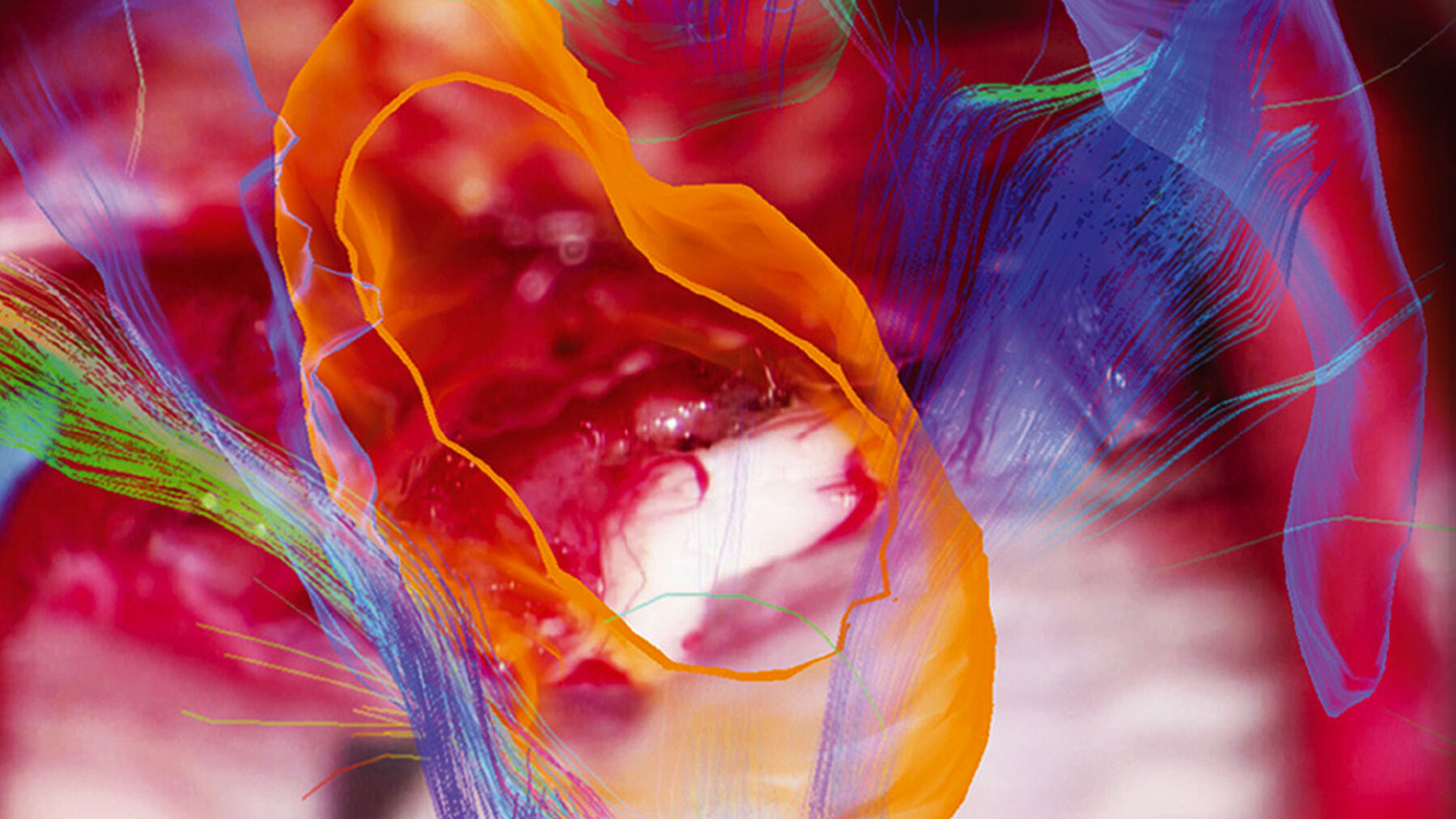 手术显微镜 | 产品 | 徕卡显微系统