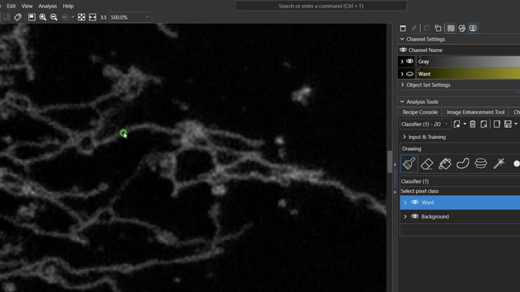 Aivia AI图像分析软件 | 产品 | 徕卡显微系统
