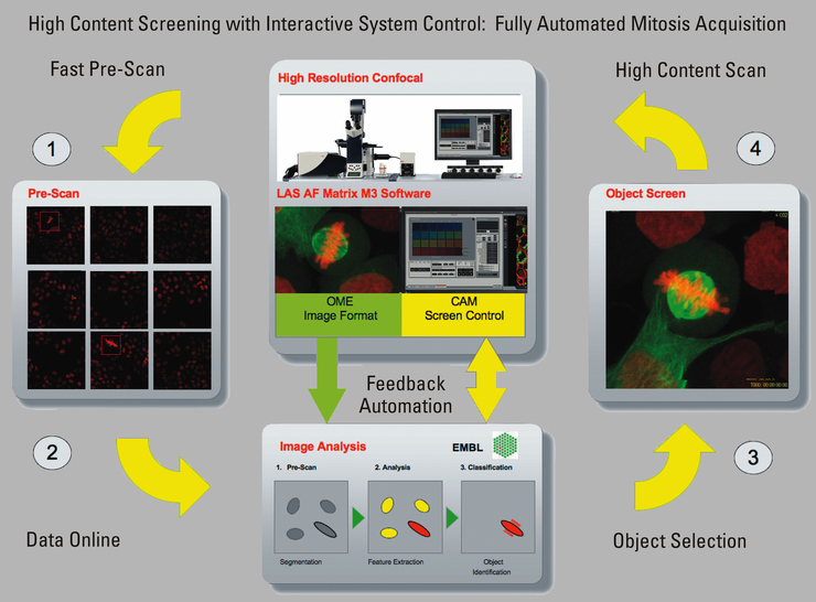 HCS A 光学显微镜 - 媒体 | 产品 | 徕卡显微系统