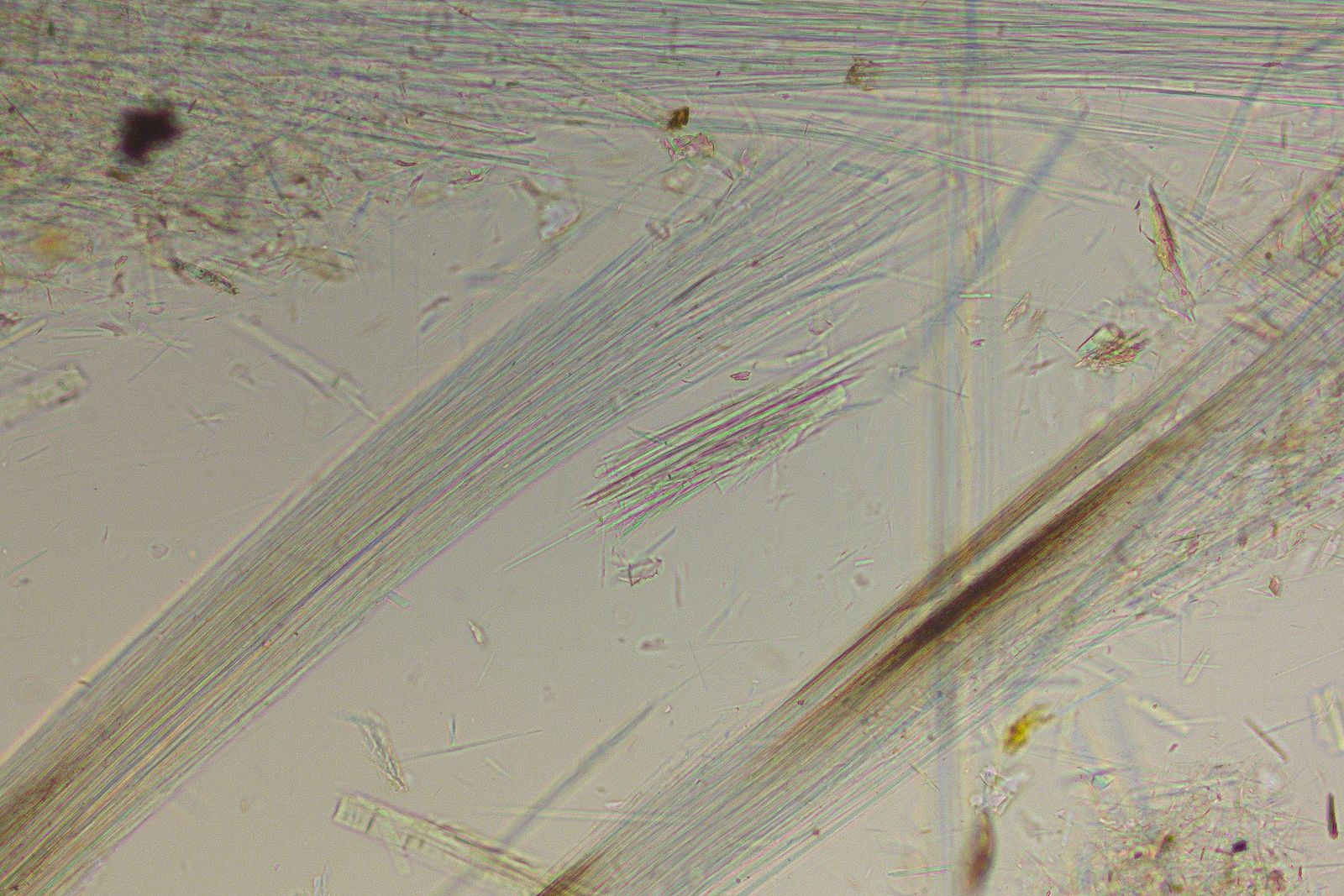 Visoria P 偏光显微镜 | 产品 | 徕卡显微系统