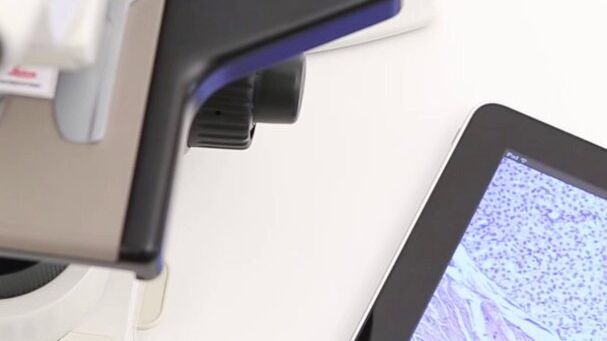 Leica DM3000 & DM3000 LED生物显微镜 正置显微镜 | 产品 | 徕卡显微系统