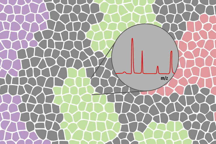 Leica LMD6 & LMD7 激光显微切割系统 - 应用 | 产品 | 徕卡显微系统