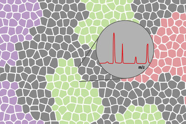 Leica LMD6 & LMD7 激光显微切割系统 - 应用 | 产品 | 徕卡显微系统