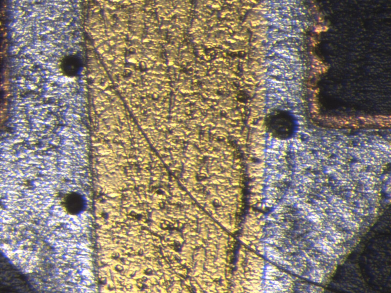 LED5000 CXI 同轴照明系统 - 媒体 | 产品 | 徕卡显微系统