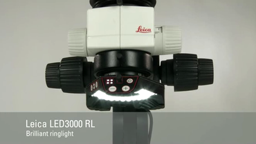 LED3000 NVI 显微镜照明系统 - 媒体 | 产品 | 徕卡显微系统