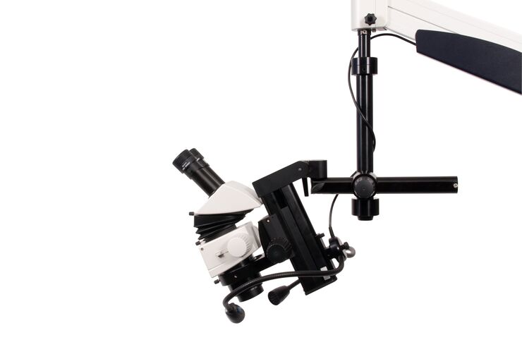 F12 I - 媒体 | 产品 | 徕卡显微系统