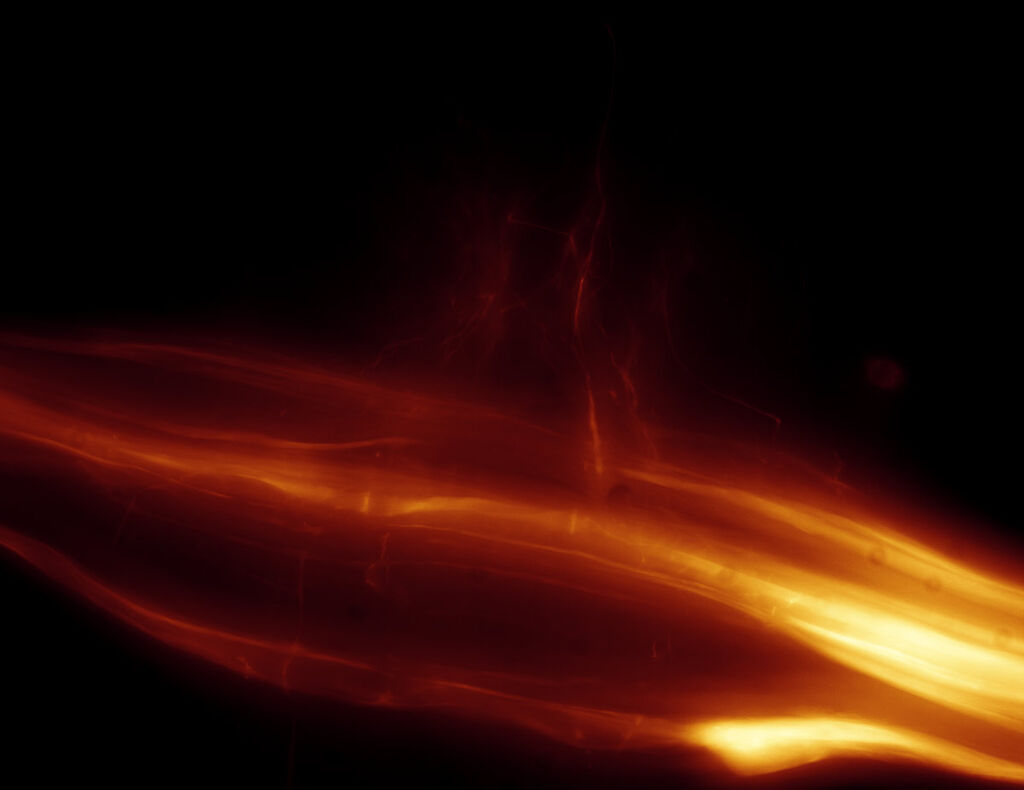 THUNDER Imaging Systems | 产品 | 徕卡显微系统