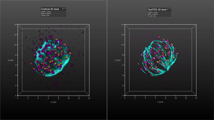 STELLARIS平台上的STED 显微镜 - 应用 | 产品 | 徕卡显微系统