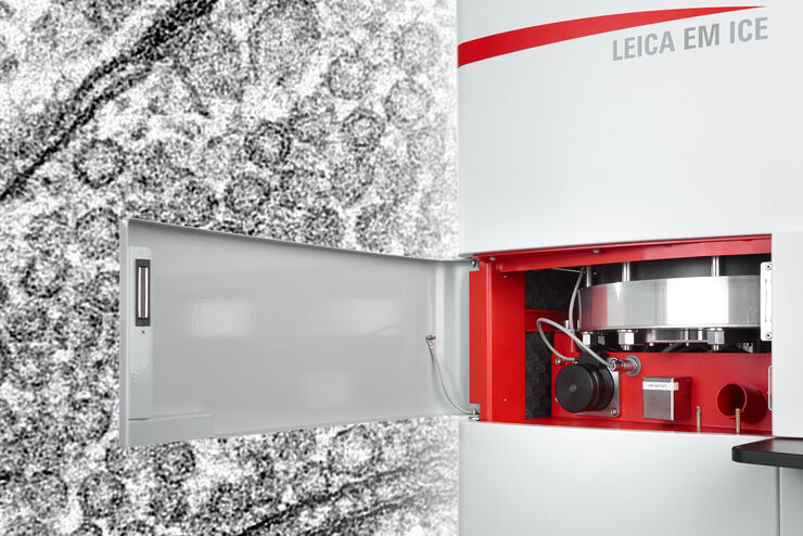 EM ICE 高压冷冻仪 - 应用 | 产品 | 徕卡显微系统