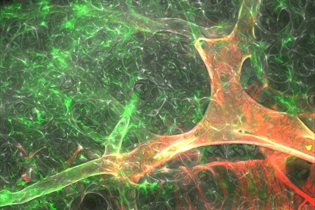 Leica LMD6 & LMD7 激光显微切割系统 | 产品 | 徕卡显微系统