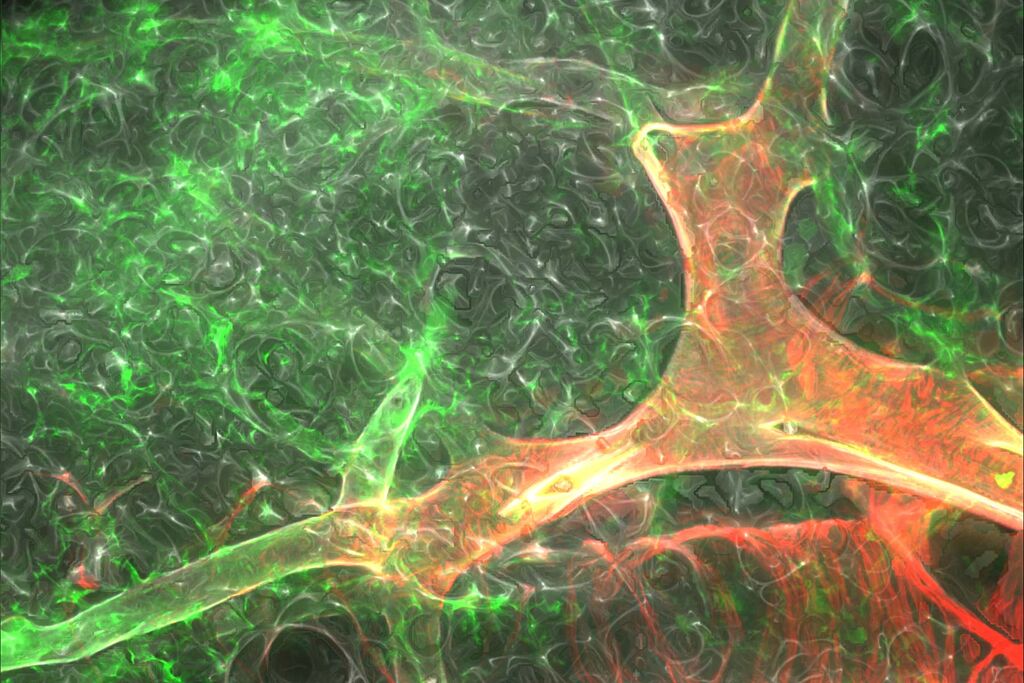 Leica LMD6 & LMD7 激光显微切割系统 | 产品 | 徕卡显微系统