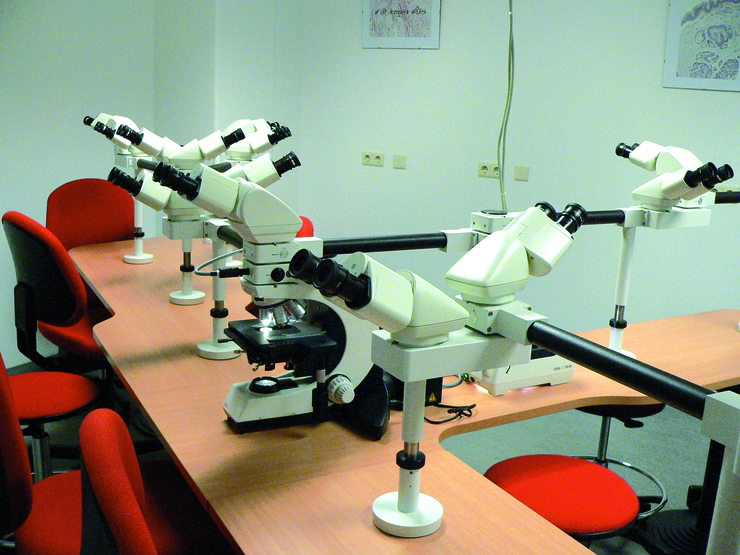 Multiviews 光学显微镜 | 产品 | 徕卡显微系统