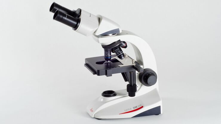 DM300 正置教学显微镜 - 媒体 | 产品 | 徕卡显微系统
