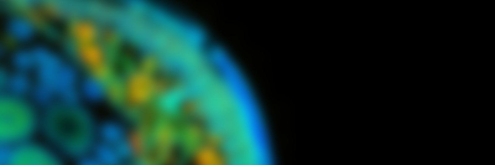 LAS X Life Science 面向生命科学应用的显微软件平台 | 产品 | 徕卡显微系统